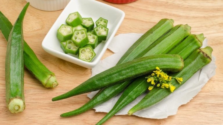 Le gombo : une plante efficace pour filtrer le microplastique des eaux ...