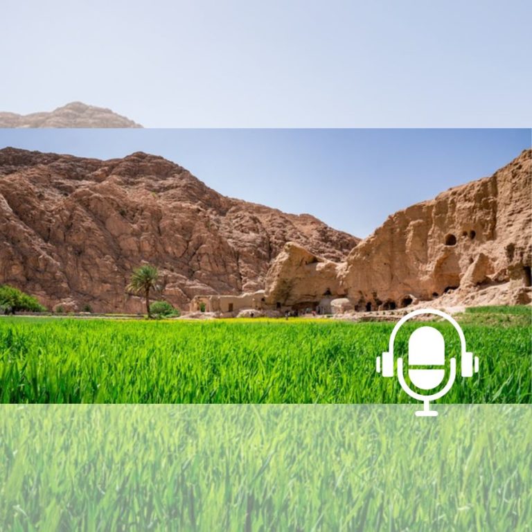 Insolite - Dao Ming décrit ce qu’il a vu de sa réincarnation, il y a 23 ...